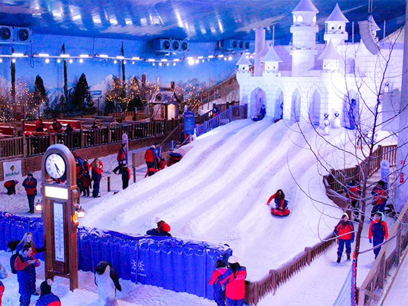 Snowland – Luxus Turismo Gramado | Passeio de trem maria fumaça